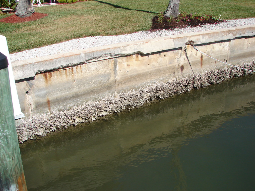 Concrete Seawall @ Garland Marine Construction