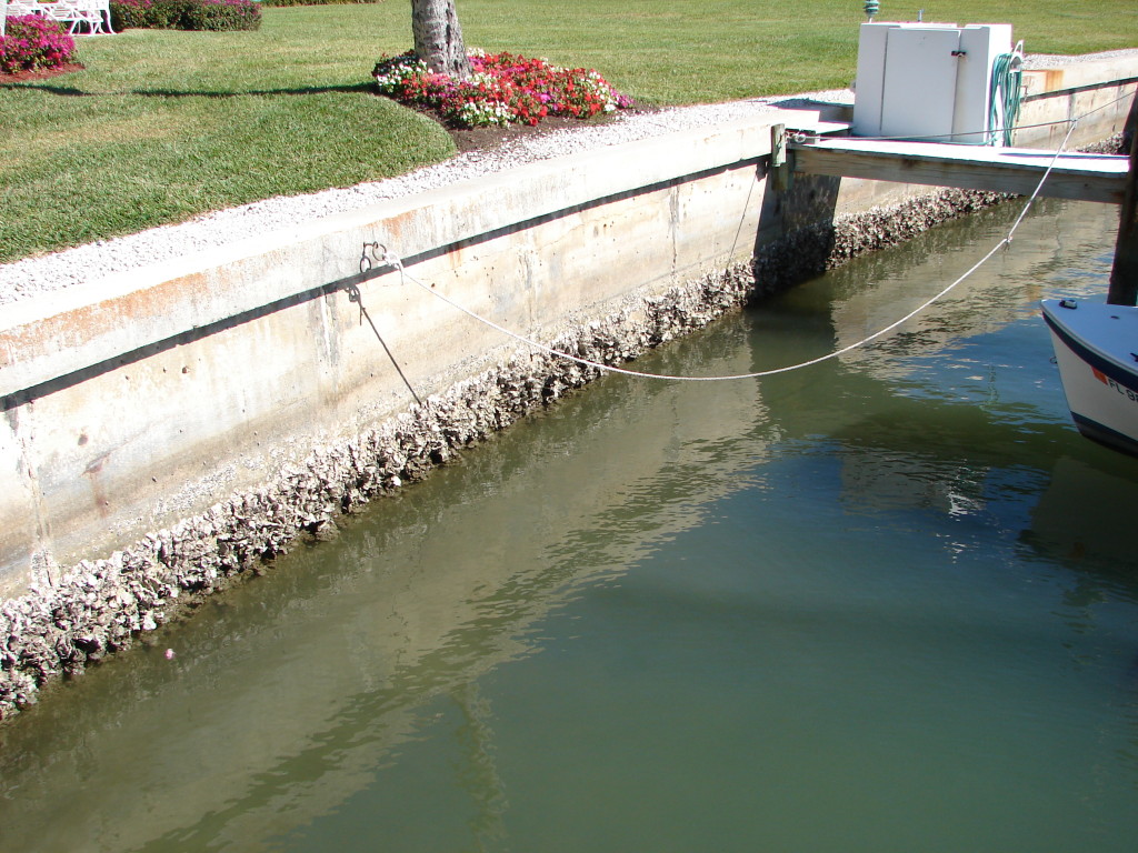 Concrete Seawall @ Garland Marine Construction